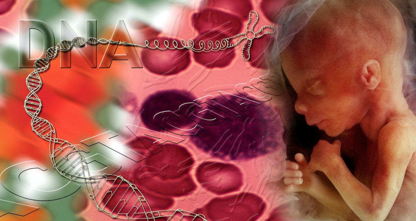 Genetics, Genomics, and Pregnancy