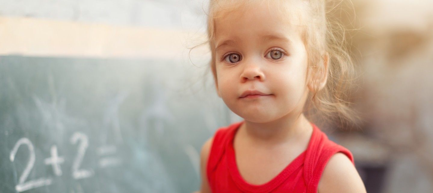 The Mathematics of Pregnancy and Fertility