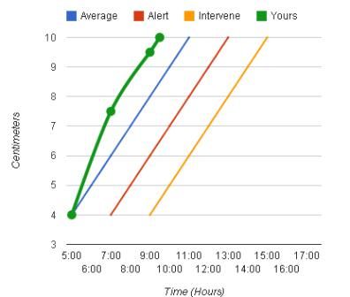Interactive Partogram Partograph Labor Curve and Calculator