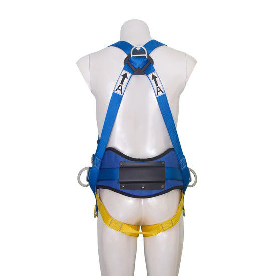 Buy Protecta First 4D-Ring Fall Arrest Work Positioning & Climbing With ...