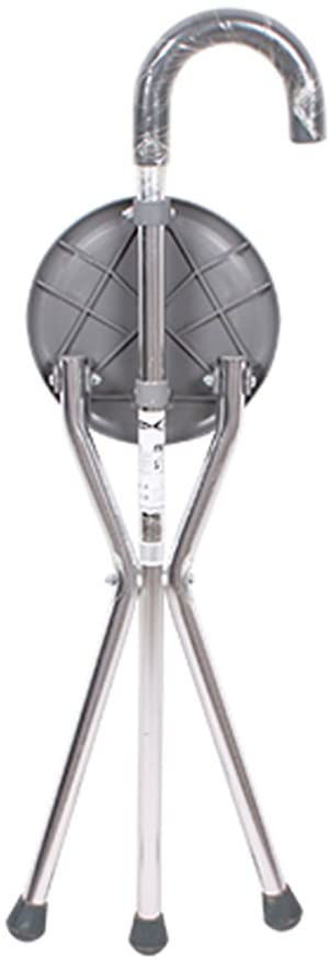 2 In 1 Design Portable & foldable Stick Chair