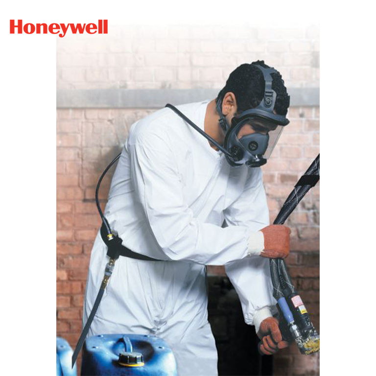 Buy Honeywell 5400 Full Face Mask Respirator Online in Pakistan with ...