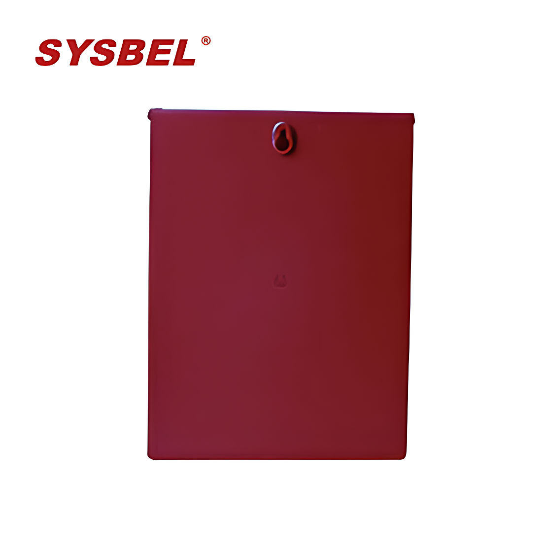Buy SYSBEL WAB001 SDS Safety data sheets Box for Cabinets Online in ...