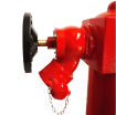 TPFH2 Two Way Pillar Fire Hydrant equipment Heavy Duty Wet Barrel Fire ...