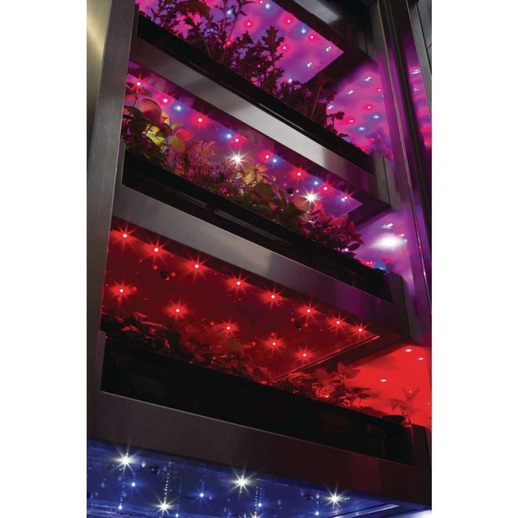 Evogro Plant Growing System 40132-WS R - DF966 - Catering Centre