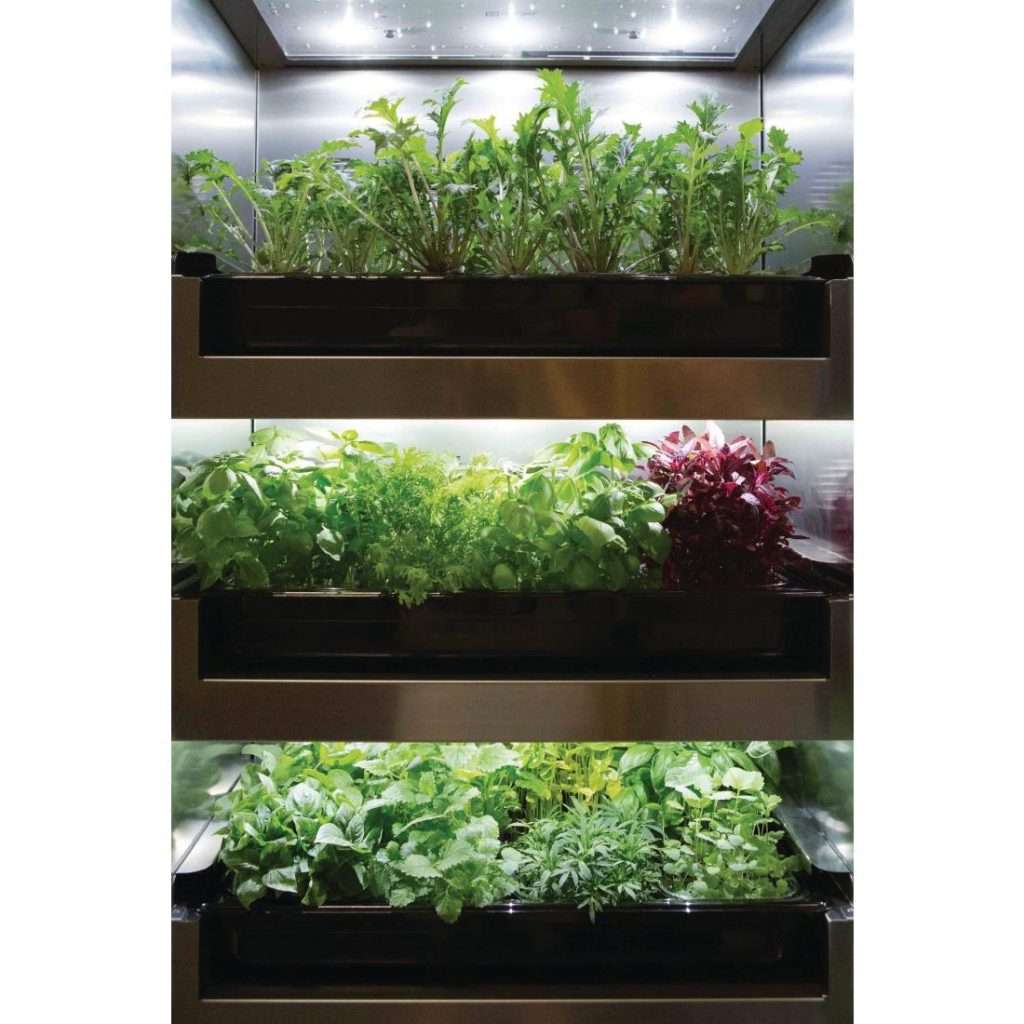 Evogro Plant Growing System 40132-WS R - DF966 - Catering Centre