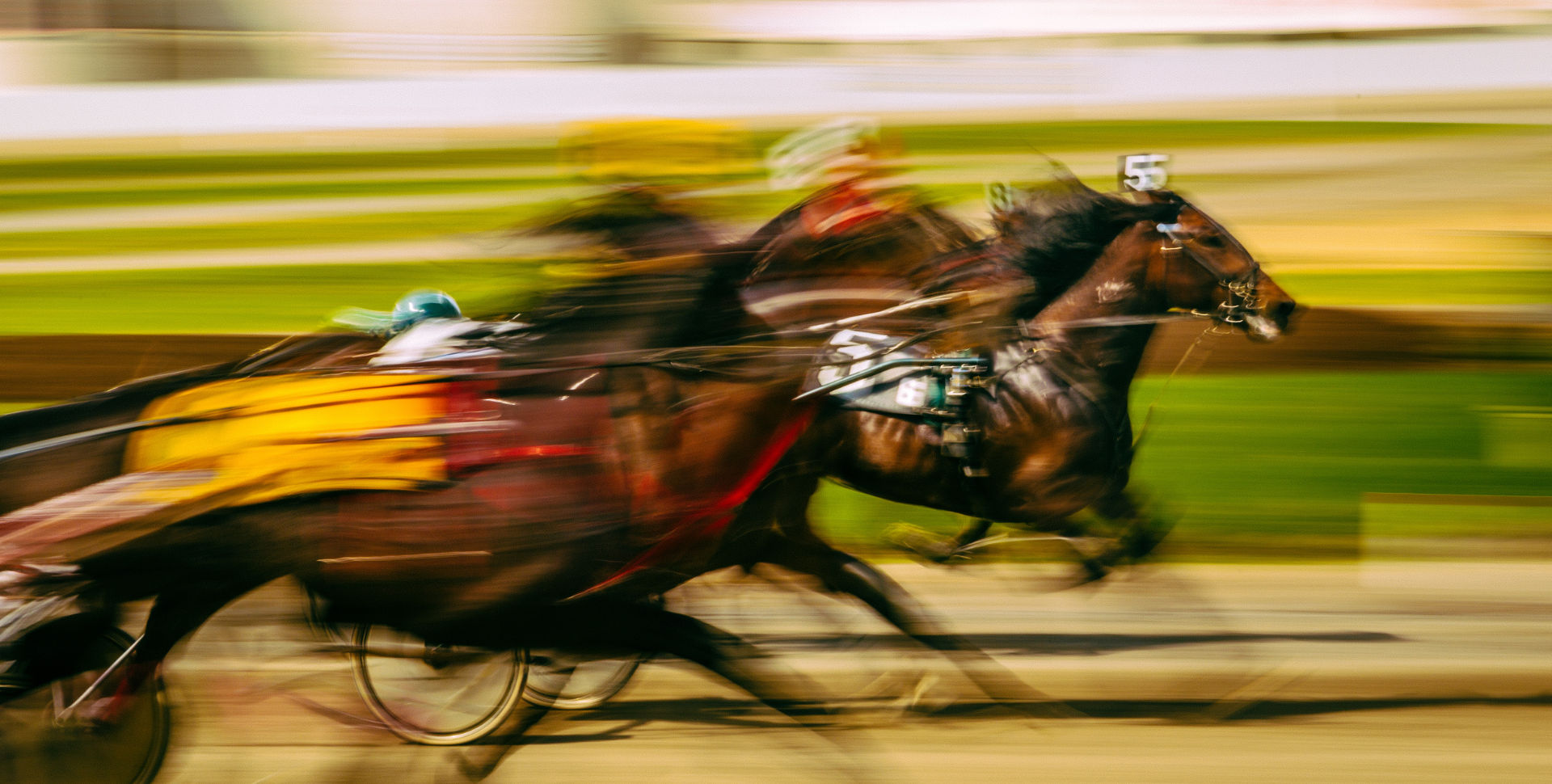 Discover Iconic Events | Upcoming Events | Mahiki