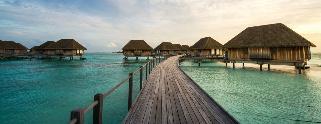 Find Out How You Can Contact Us To Get In Touch | Mahiki