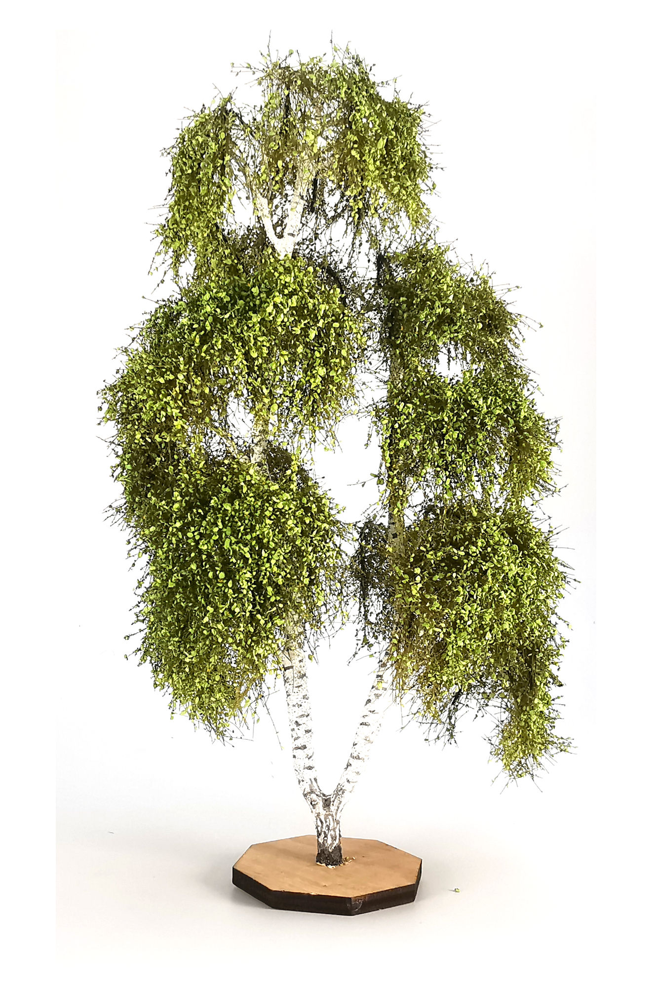 Double Birch Tree Model 20-22 | Primo Models - Realistic Model Scenery