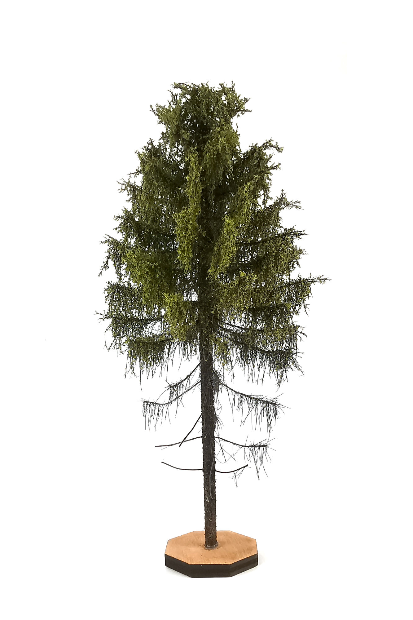 Forest Larch Tree Model 14-16 cm | Primo Models - Best Model Scenery