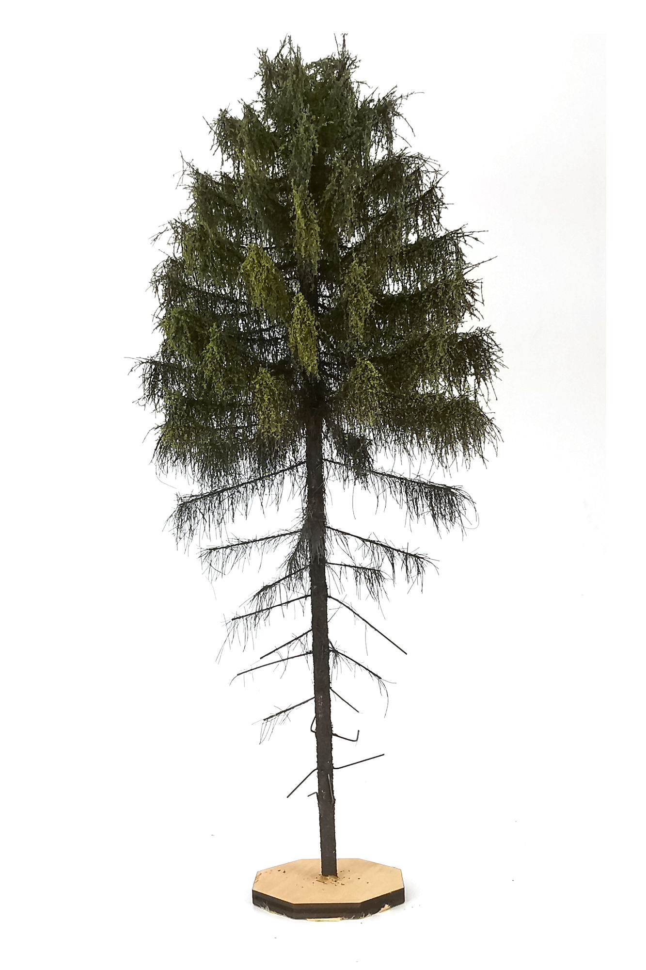 Forest Larch Tree Model 26-28 cm | Primo Models - Best Model Scenery