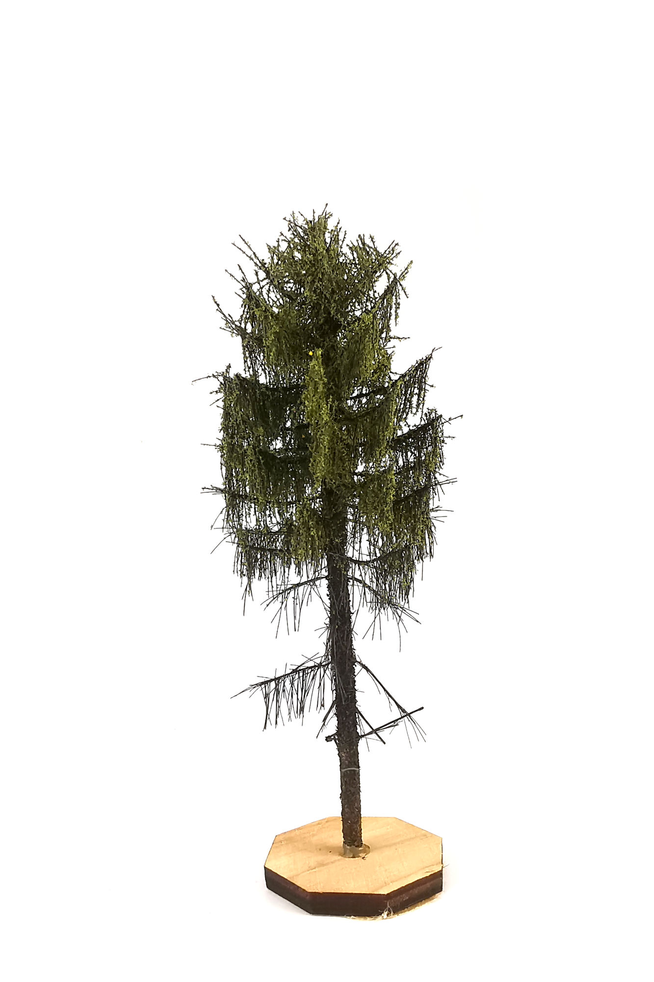 Forest Larch Tree Model 9-11 cm | Primo Models - Best Model Scenery