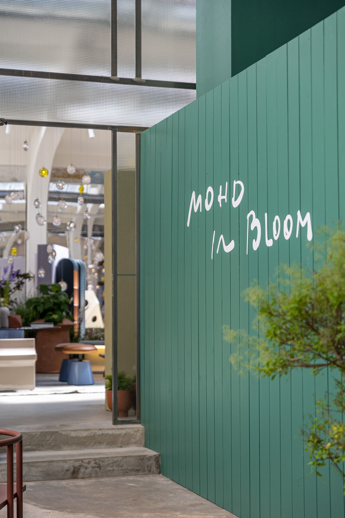 Mohd in Bloom | Inspire by Mohd