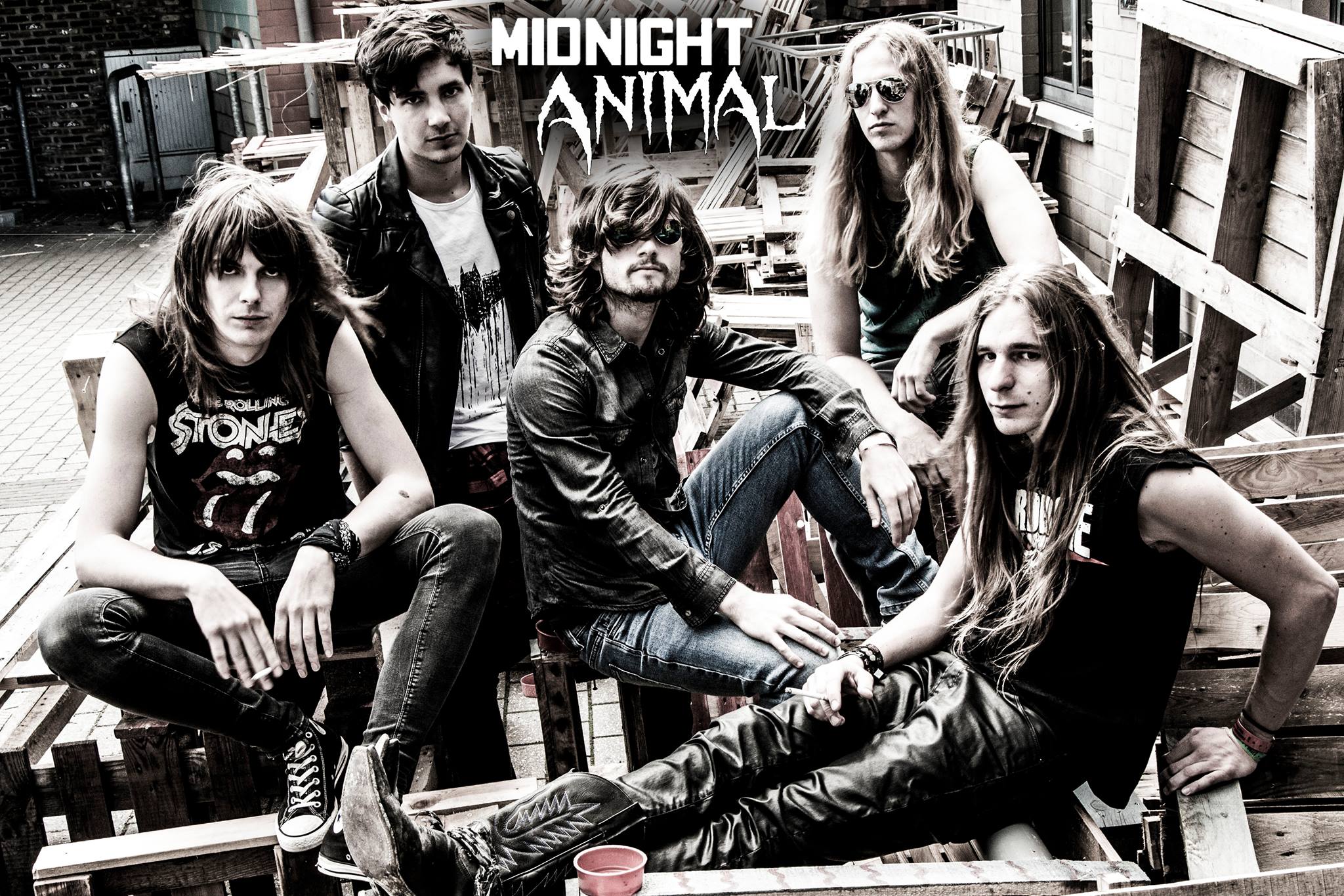 Midnight Animal | VI.BE