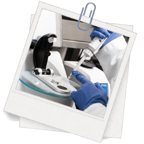 What we do | Microbiome Research