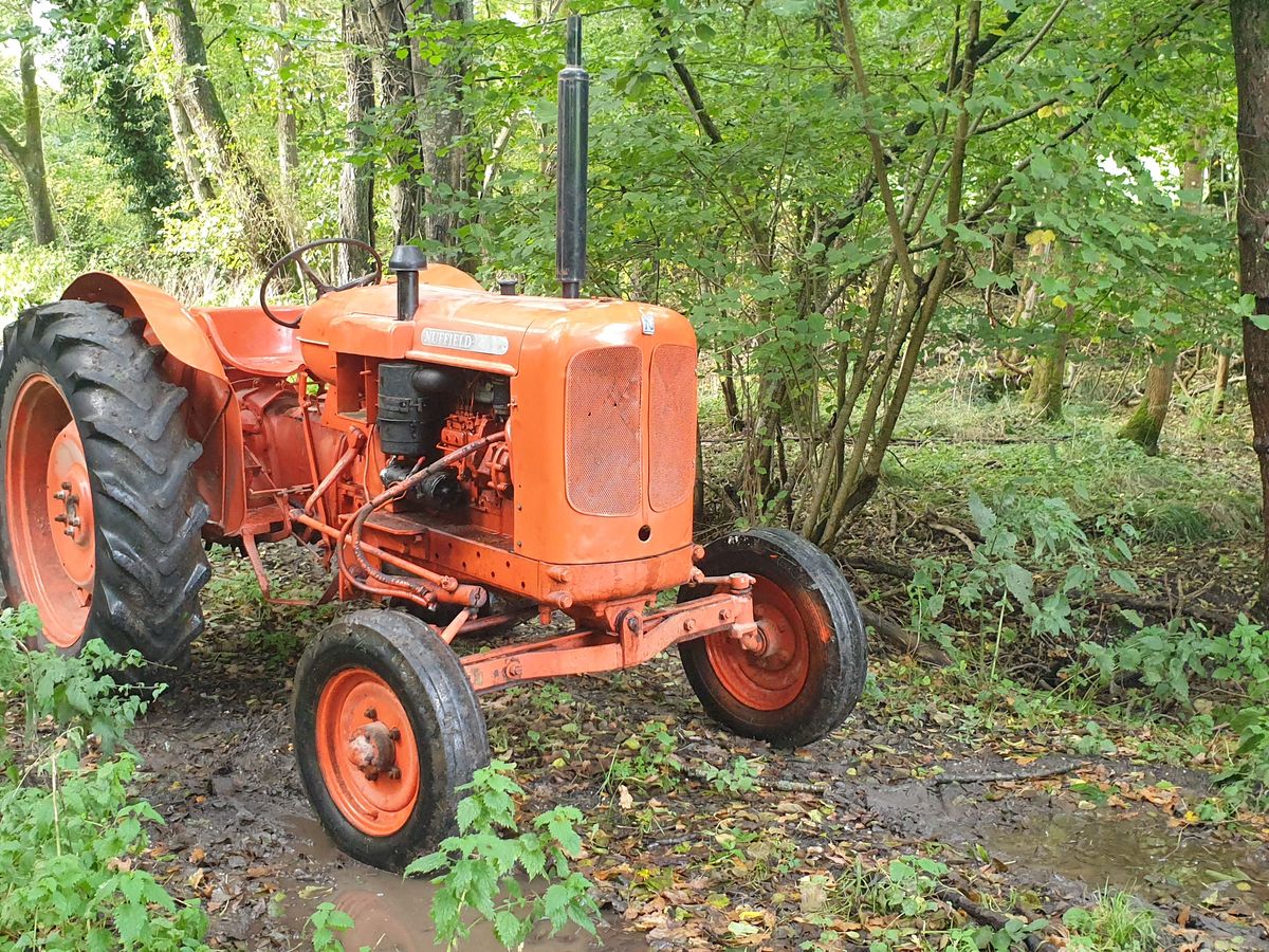 Nuffield 460 restoration » muddyweb.com