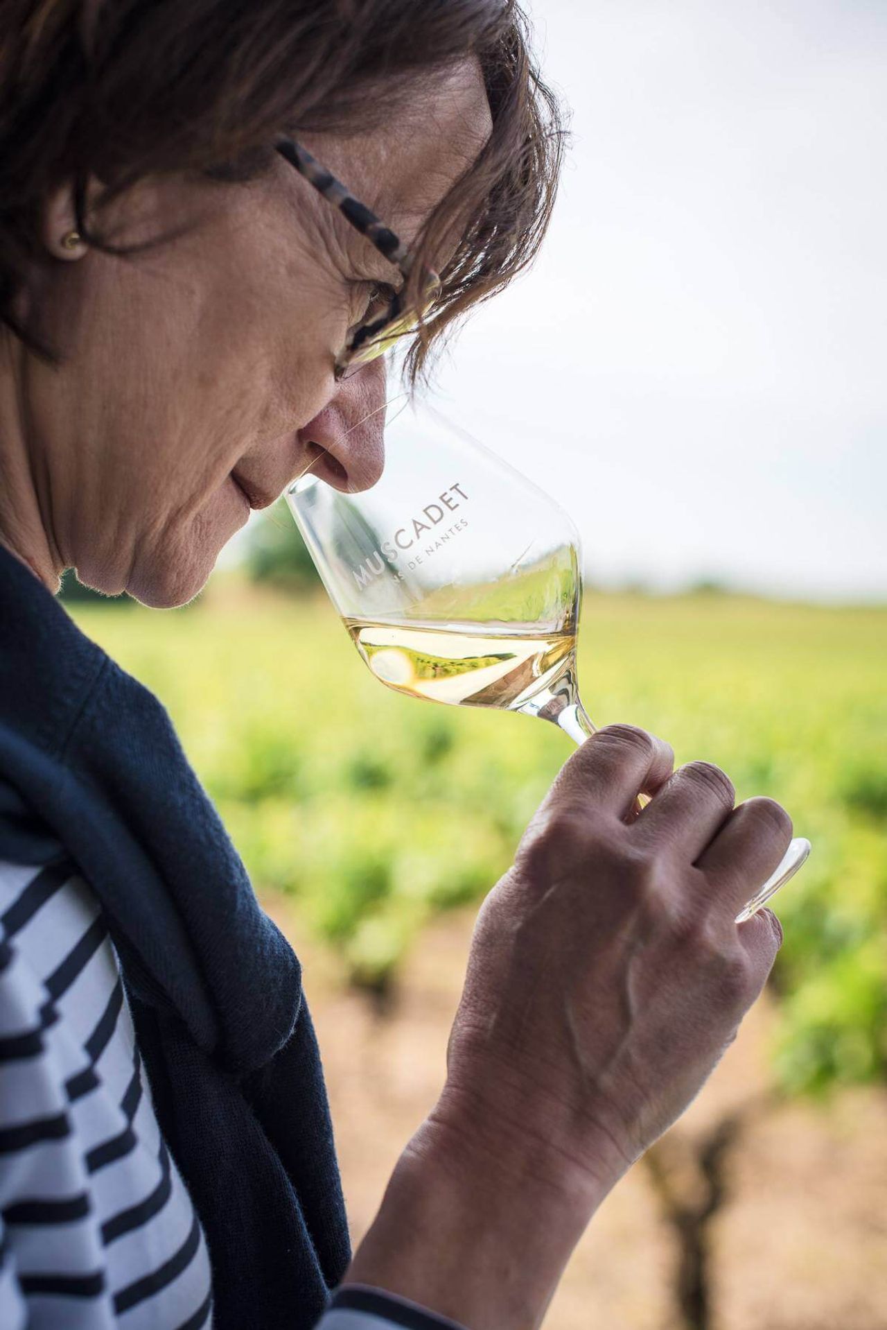 AOC Muscadet - Muscadet