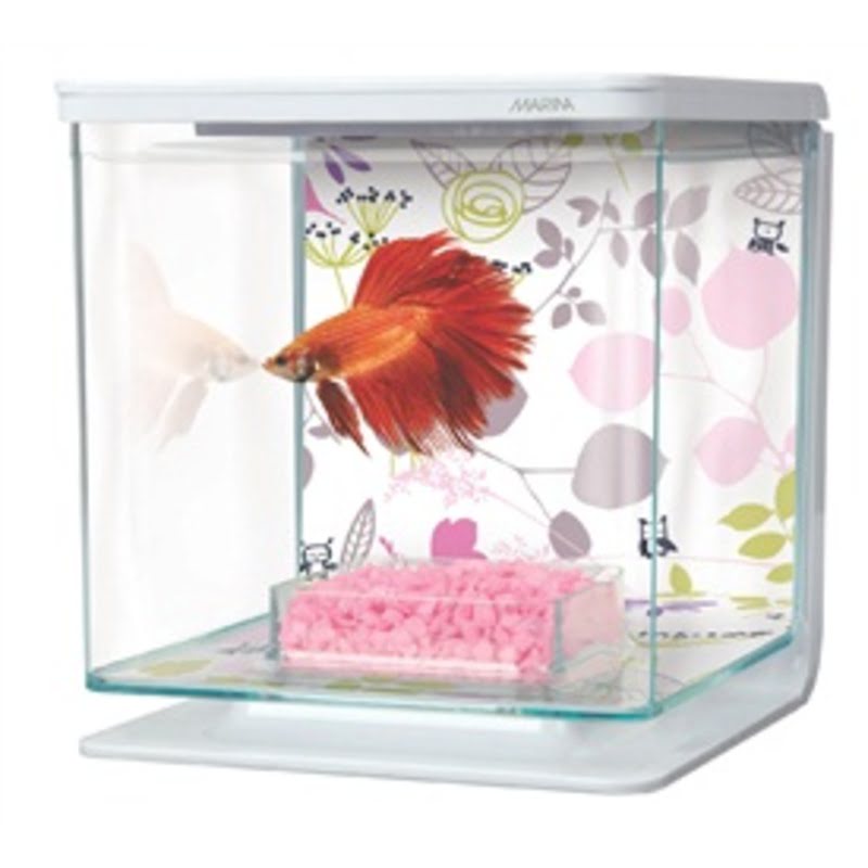 Buy - Marina Betta Kit - Floral - IndieFur.Com