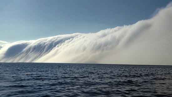 8 Types of Fog You Need to Know