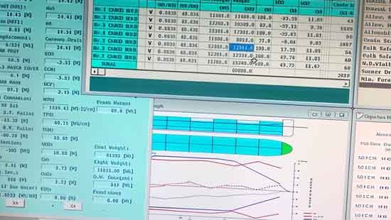 Dry & Bulk Cargo Stowage Plan for Successful Operations
