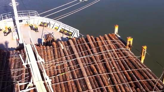 Cargo Stowage and Securing: Complete Safety Guide