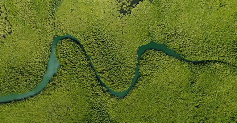 Earth Overshoot Day: Was ist das und warum ist er wichtig? | COSH!
