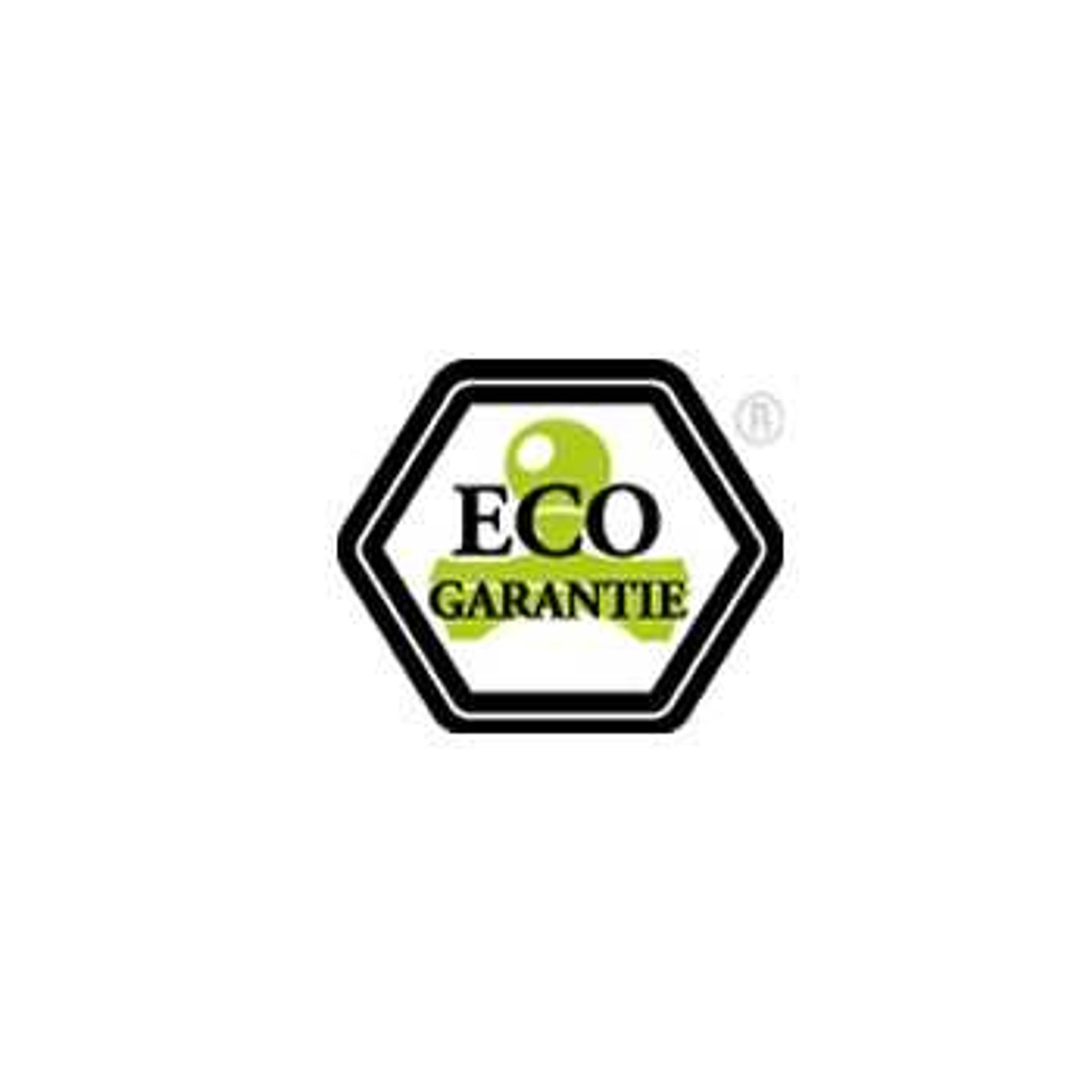 COSH! checks Belgian ecocheques: here's what you need to know | COSH!