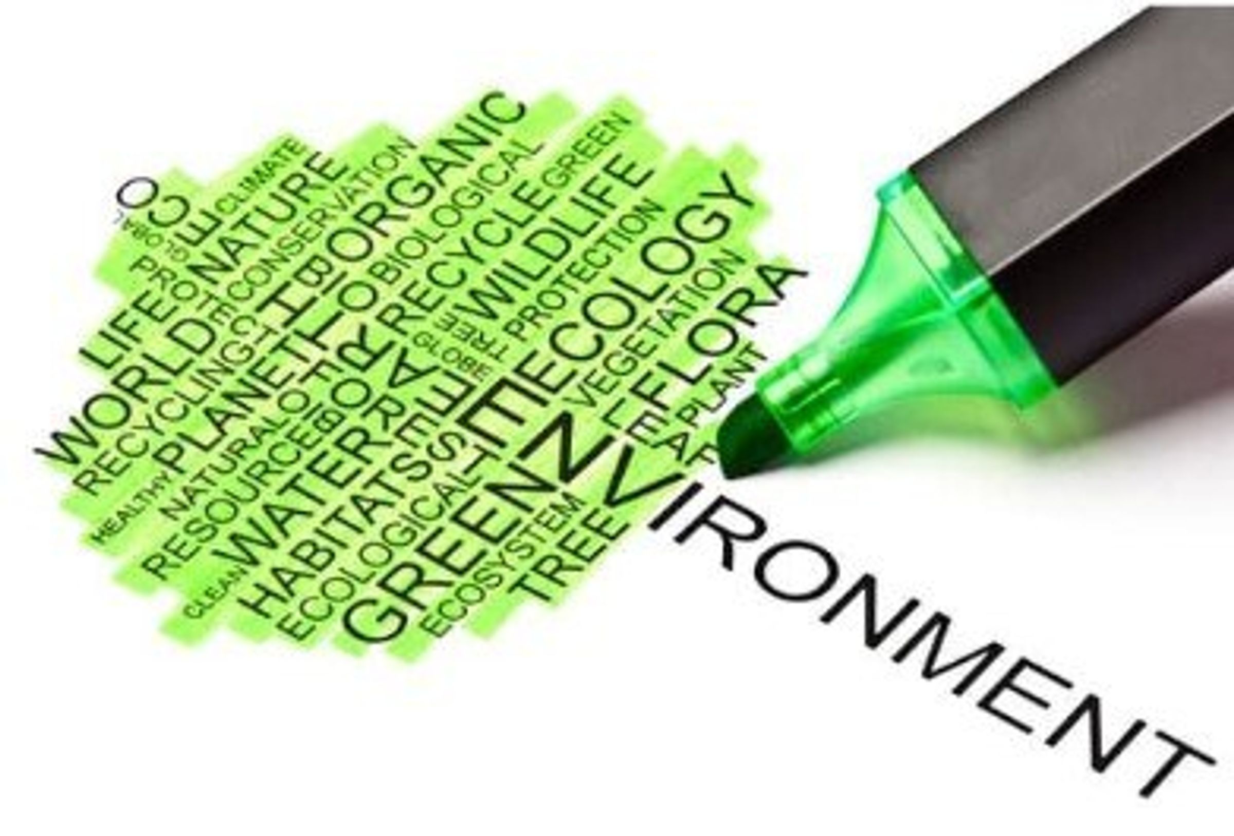 Understanding the Role of the Green Claims Directive (GCD) | COSH!