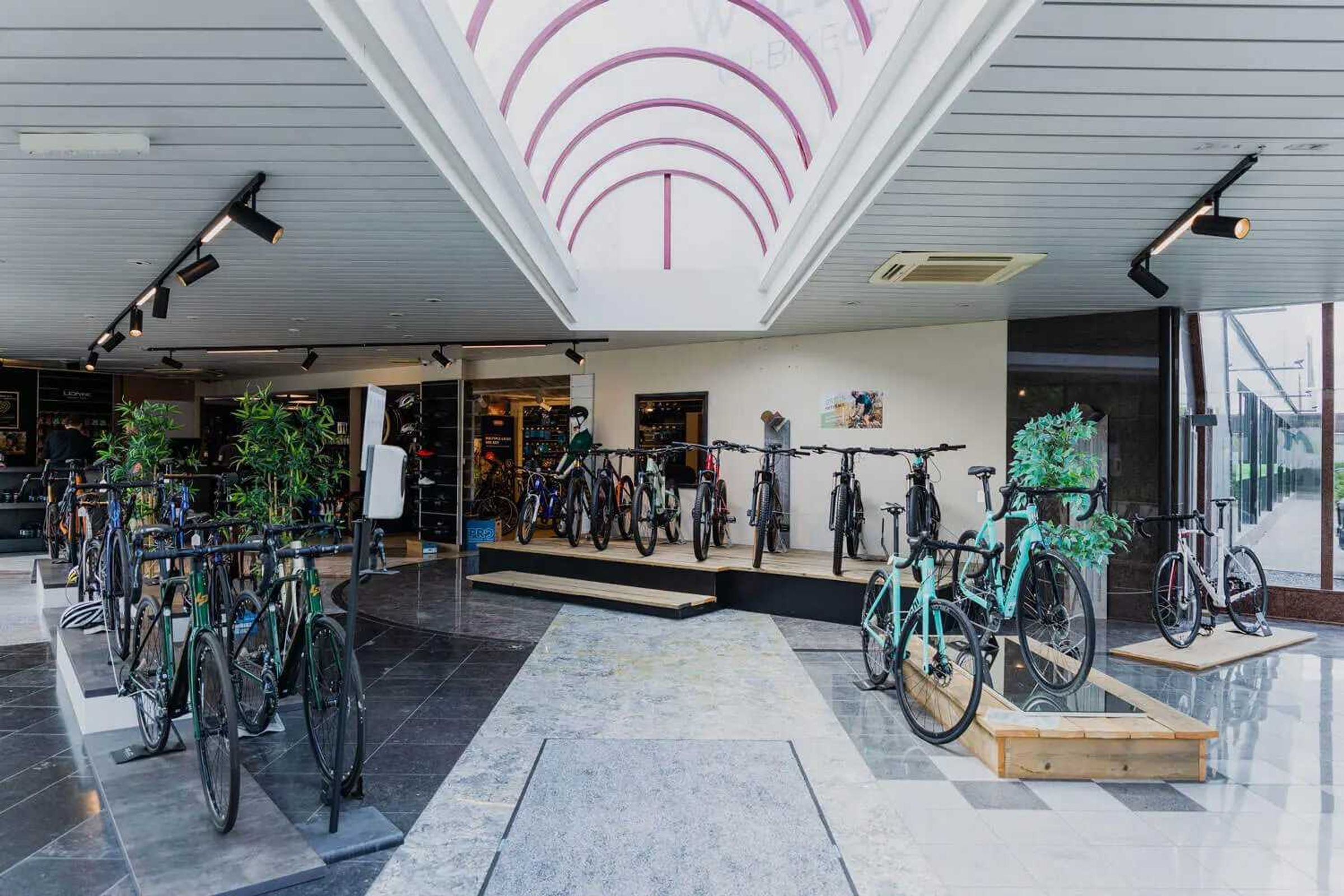 Fietsen Wildiers Hasselt: Fietsen voor elke route en elk… | COSH!