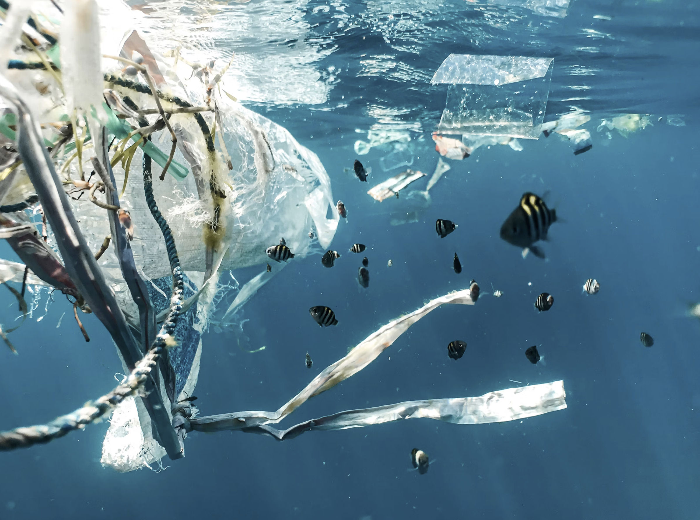 The impact of clothing on plastic pollution in the oceans | COSH!