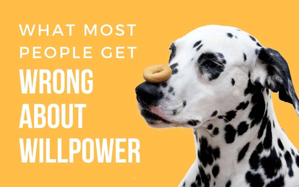 Everything You Need to Know on How to Get Motivated