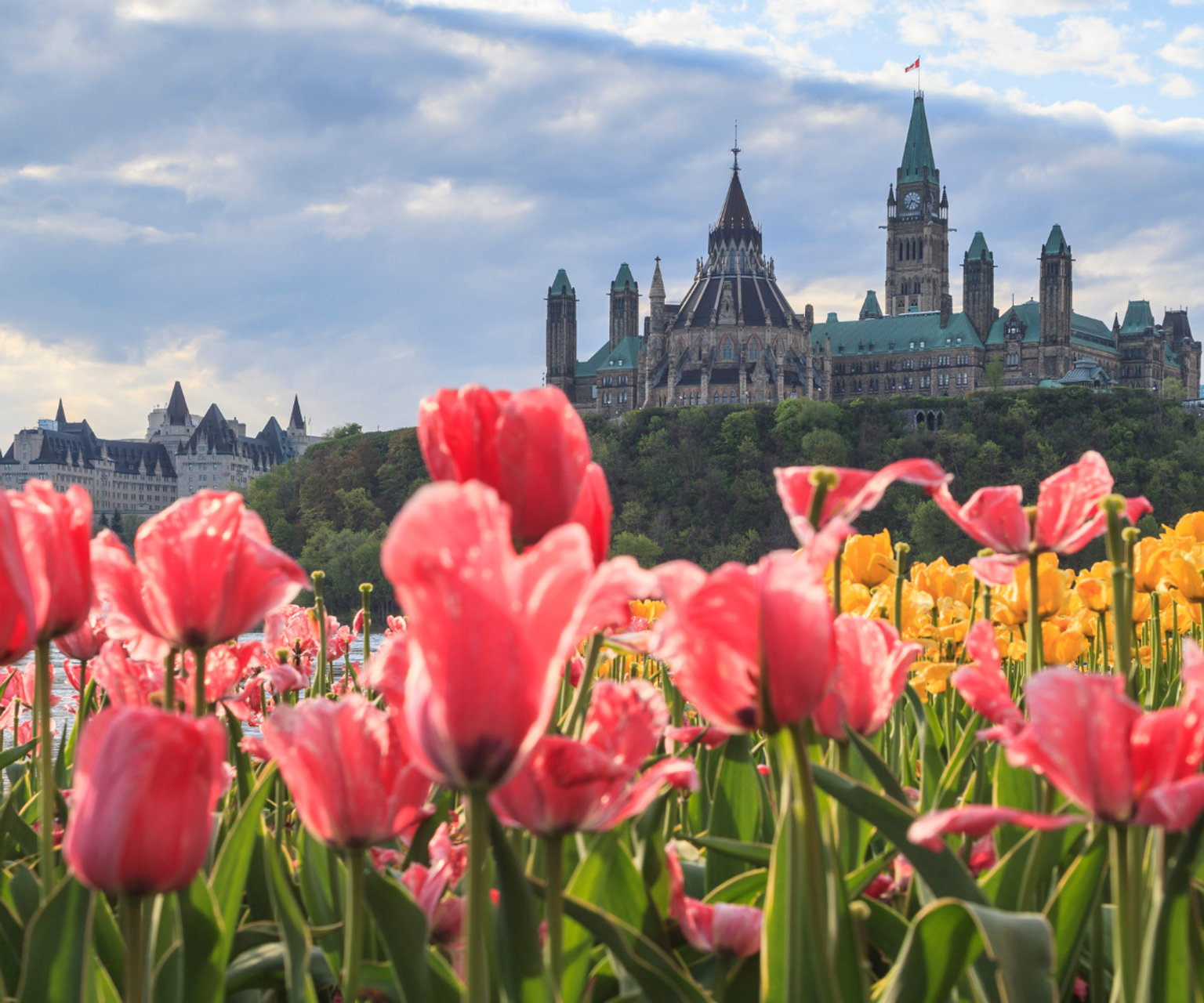 Official Site | Alt Hotel Ottawa