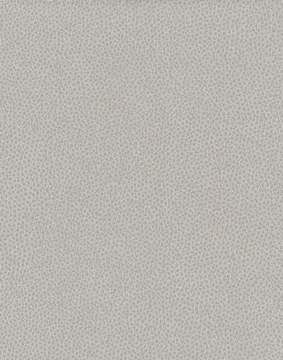 S312-1099 | NGC Nafees