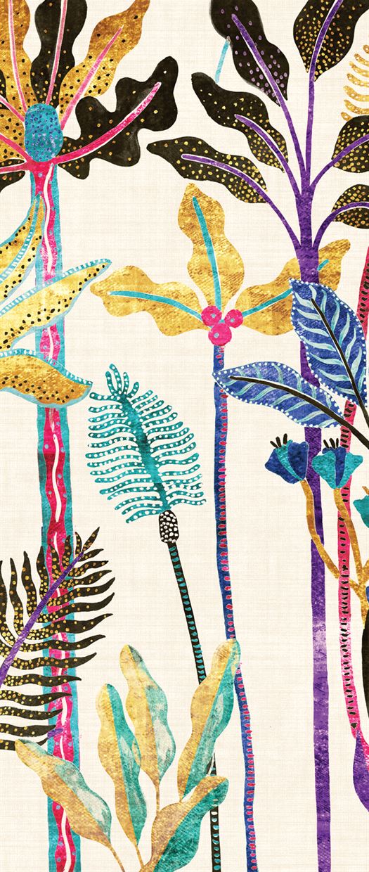 DGHAV2043 | NGC Nafees