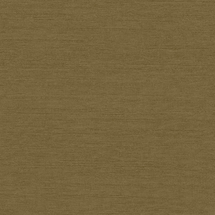 24372(R1) | NGC Nafees