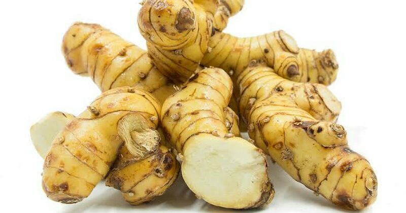 3 Cara Mengolah Kencur sebagai Obat Batuk yang Alami - Natural Farm ...