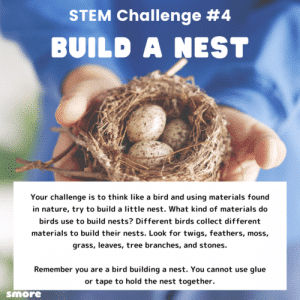 Build A Birds' Nest Activity: Summer STEM Challenge