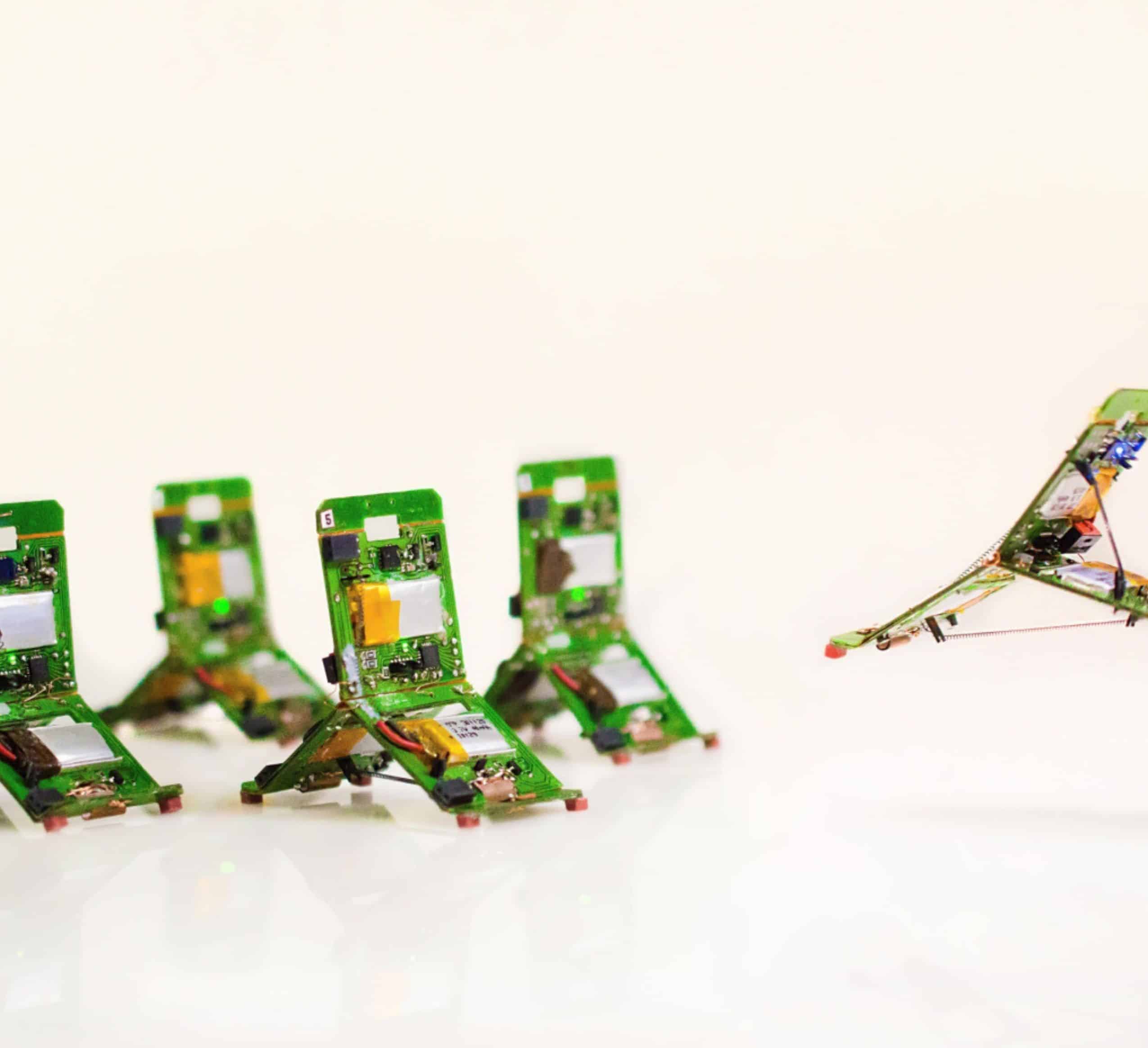 Ant Robots: Swarms of Ants Have Inspired Robots