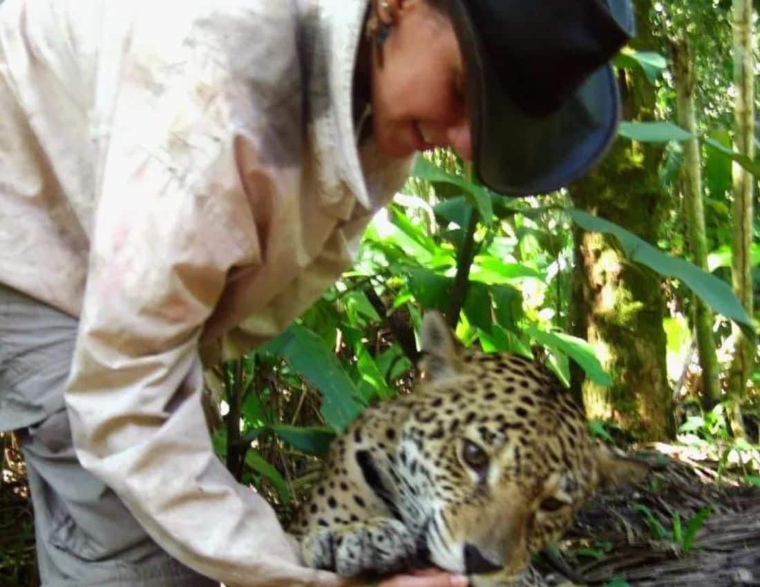 Watch Forensic Scientist Kelly Knight at Work