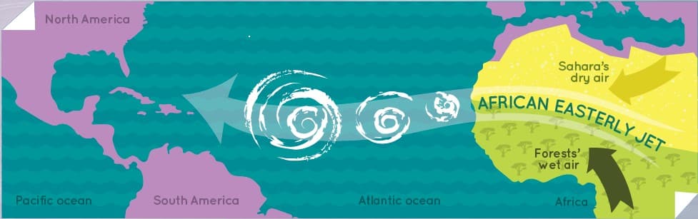 How do Hurricanes Form