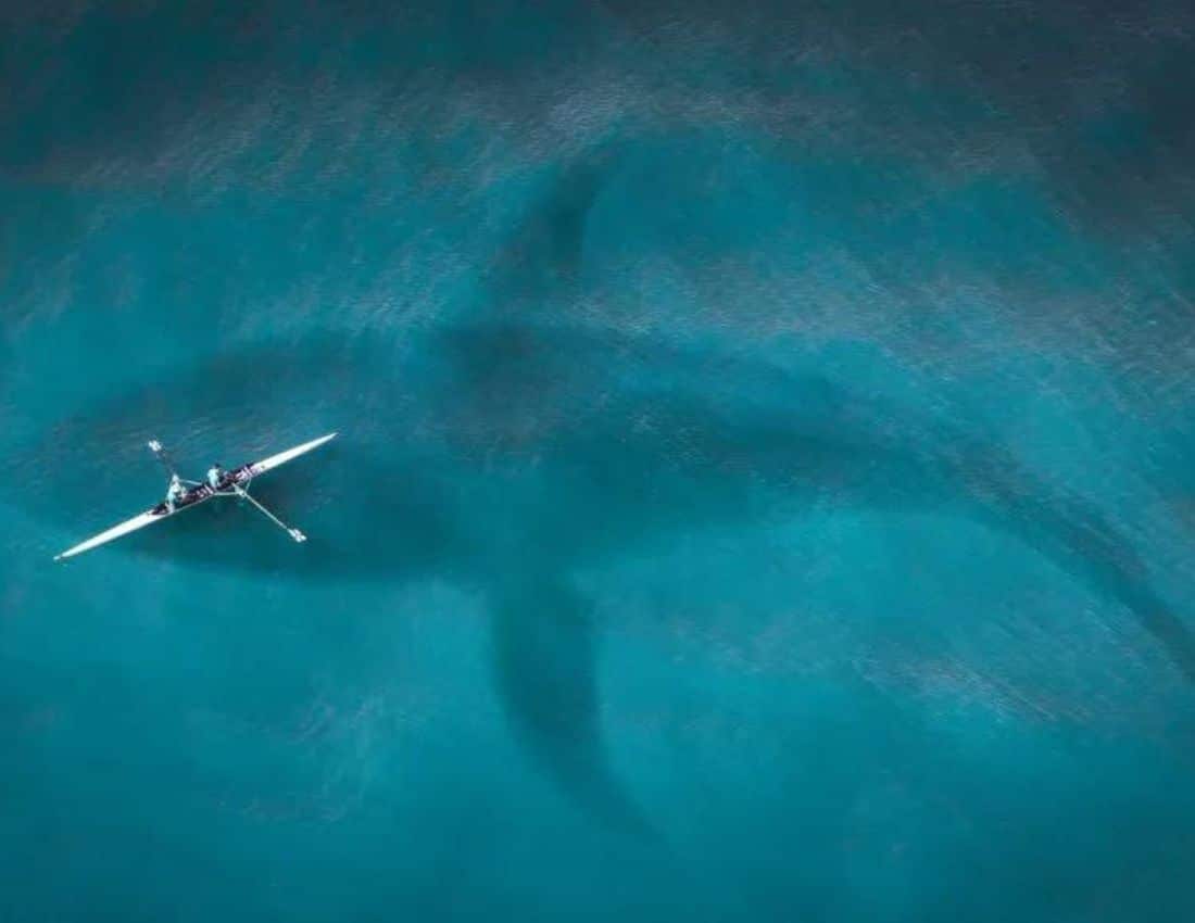 Easy Constellations To Find: MAPPING THE NIGHT SKIES