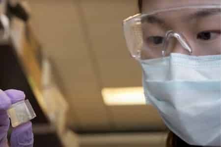 Science News For Students - Smore Science