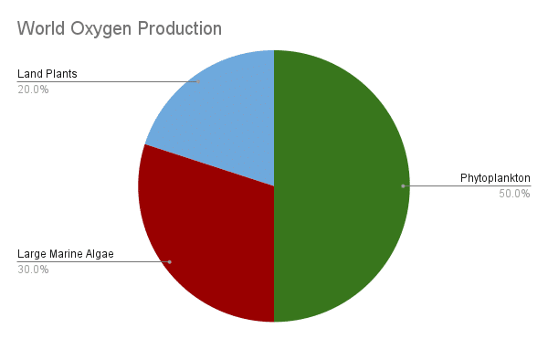 Where does oxygen come from?