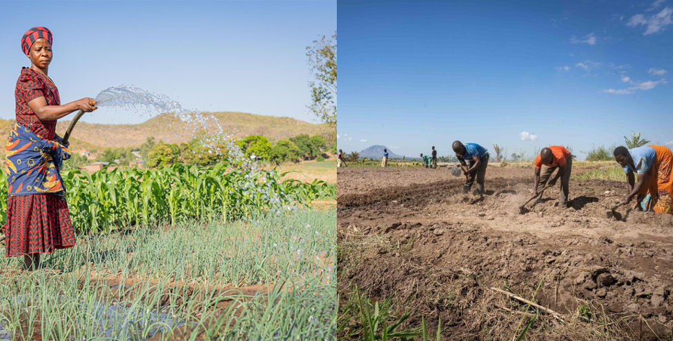 GDG - J807NMW WFP Malawi Emergency Relief