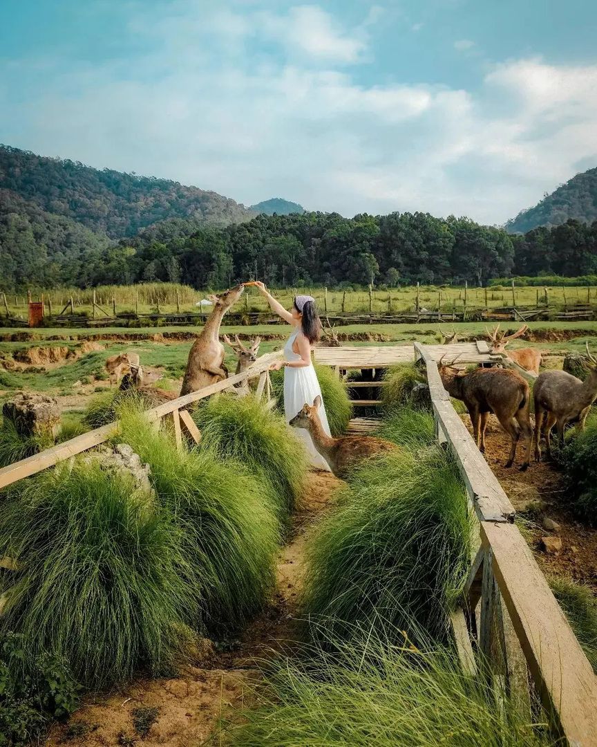10 Tempat Wisata Alam di Bandung Buat Healing Anti Pusing - Nibble