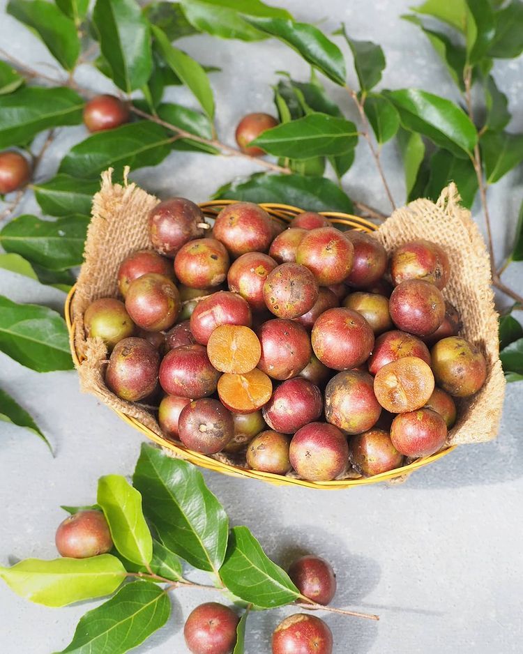 10 Buah Khas Jakarta yang Langka, Ada yang Pernah Kamu Coba? - Nibble