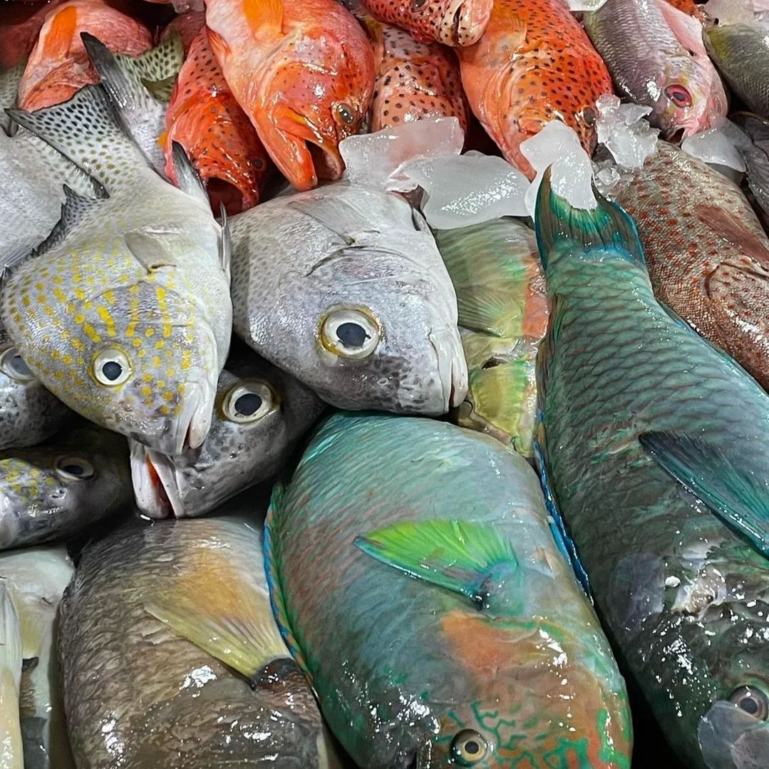 Puas dan Enak, Ini Tips Cara Makan Seafood Murah di Jimbaran - Nibble