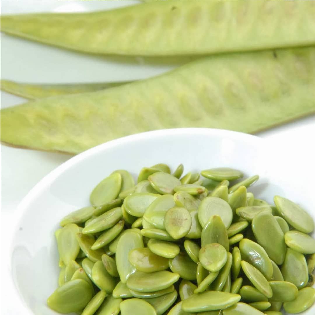 Sejarah Tempe Sampai Jadi Bahan Makanan Favorit di Indonesia - Nibble