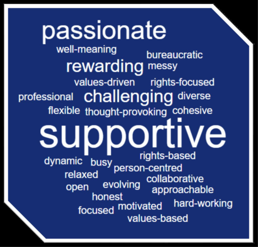 IiP silver accreditation - Niccy