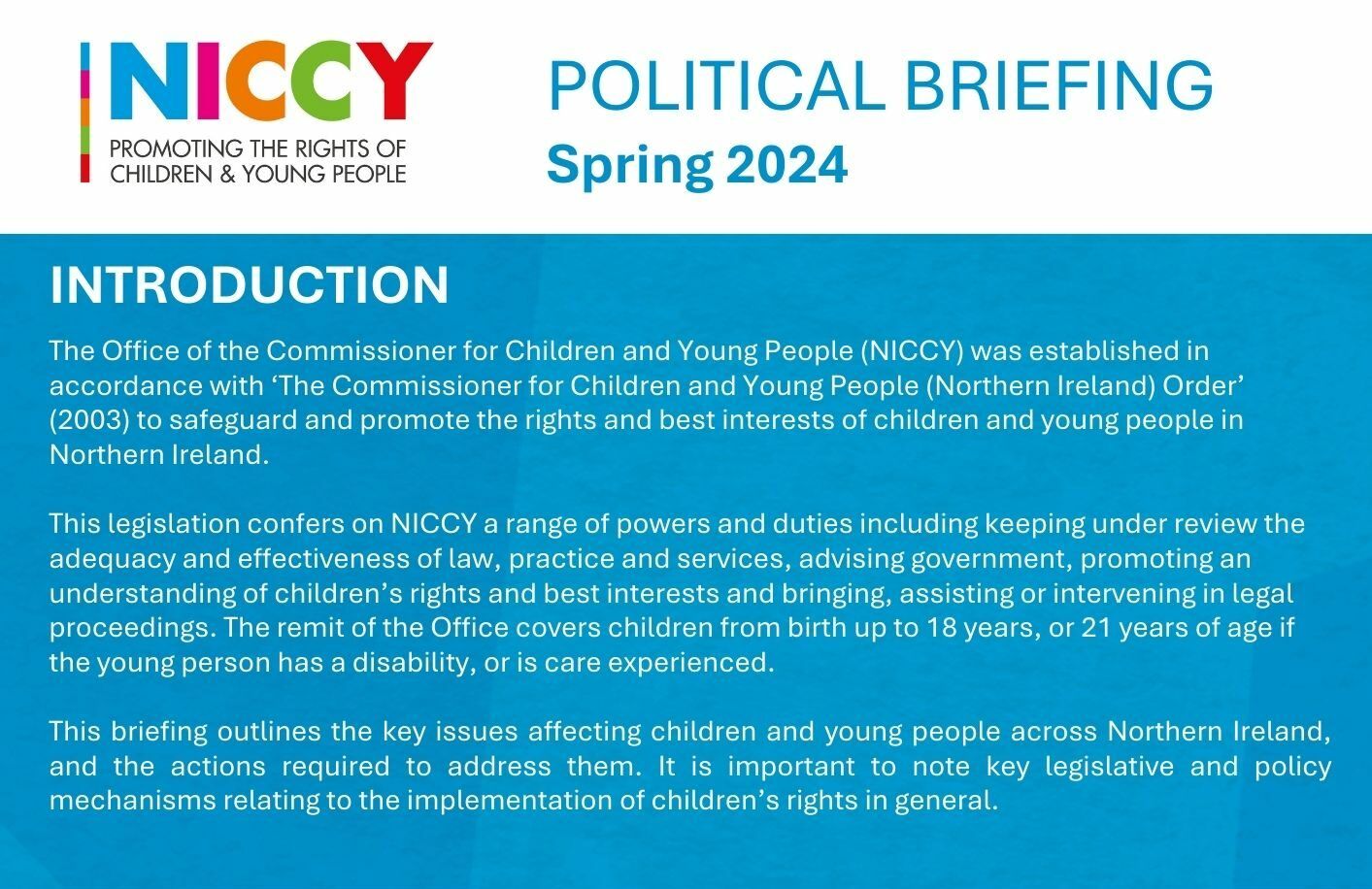 Political Briefing – Spring 2024 - Niccy